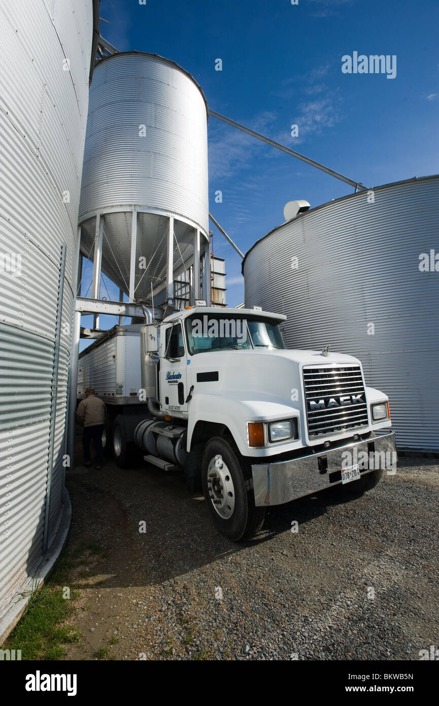 Grain bins on farm Stock Photo - Alamy
