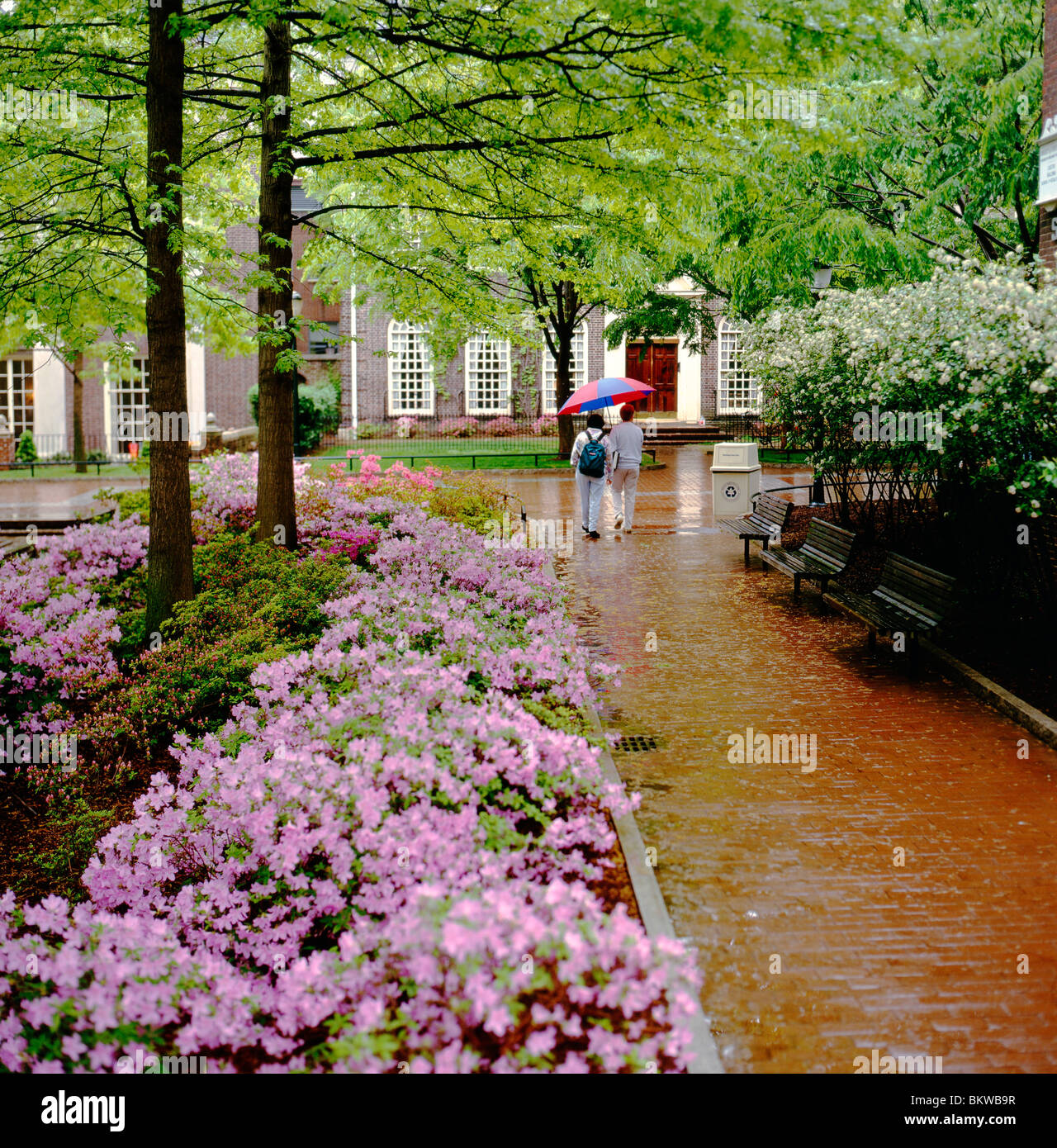 Students in rain, University of Pennsylvania, Ivy League school founded ...