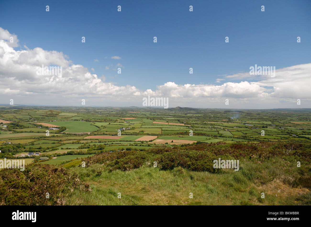 John f kennedy arboretum hi-res stock photography and images - Alamy