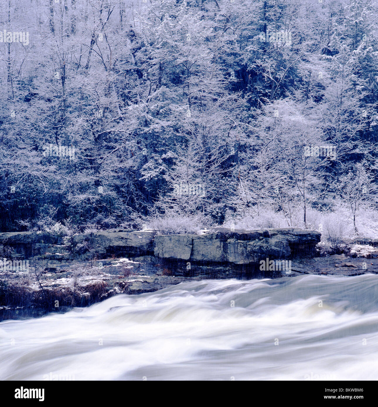 Youghiogheny River and wet March snowfall, Ohiopyle State Park ...