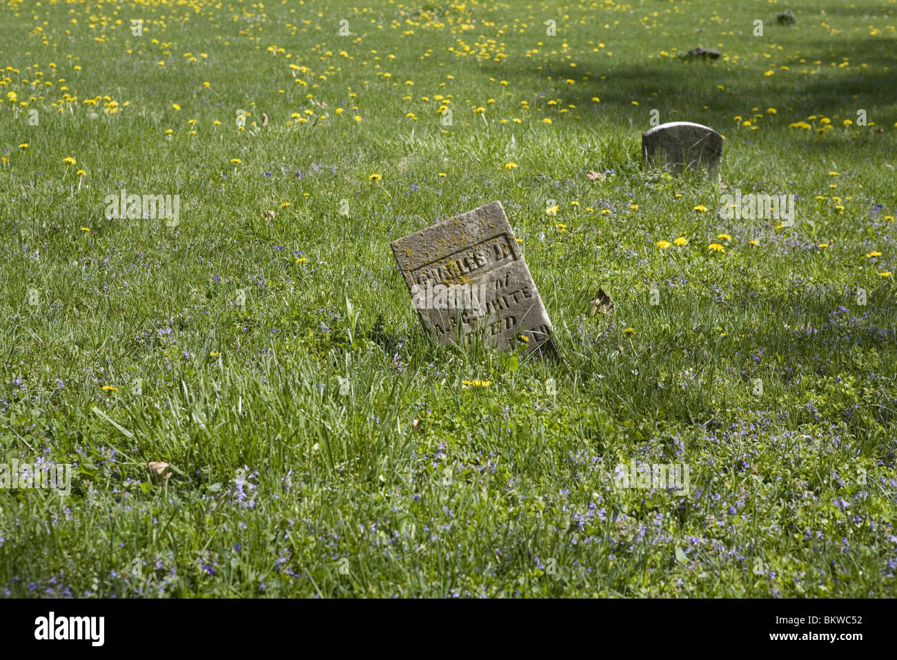 Old tombstone in a field Stock Photo - Alamy