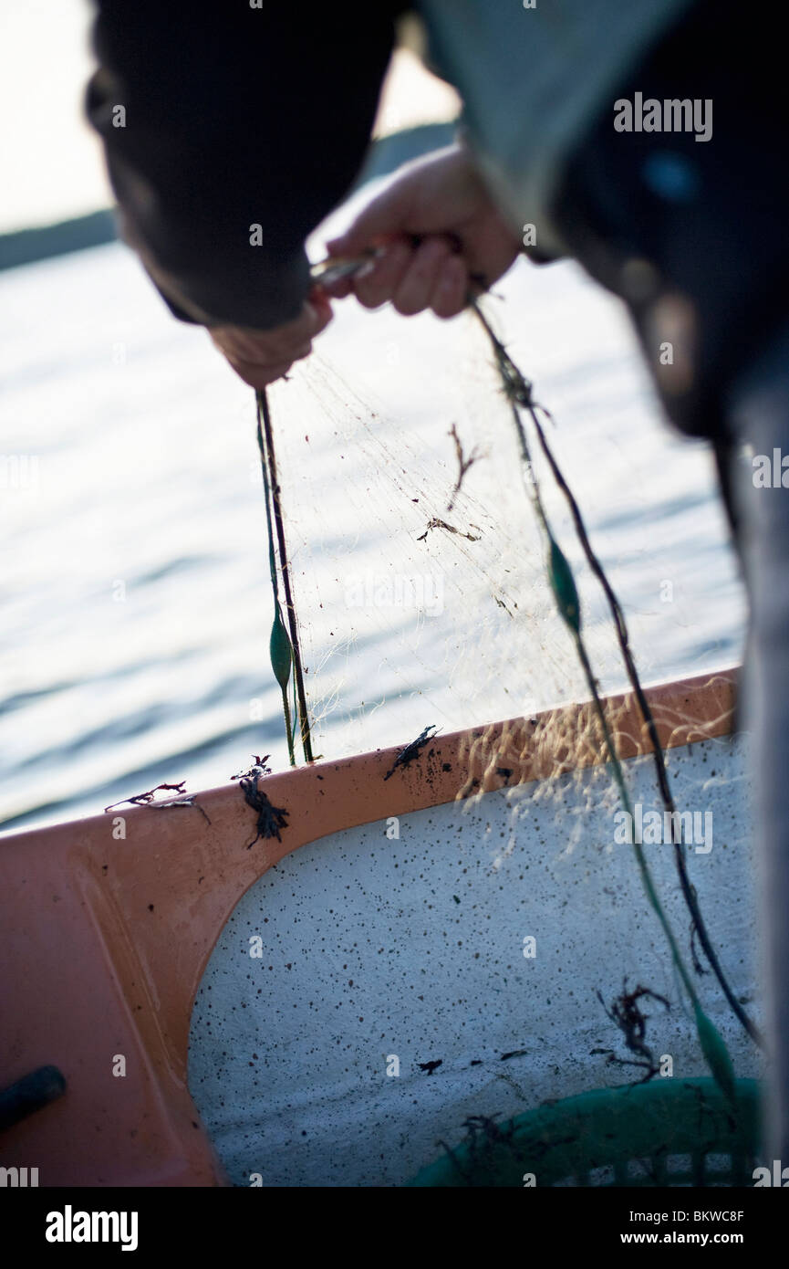 Rail wave hi-res stock photography and images - Alamy