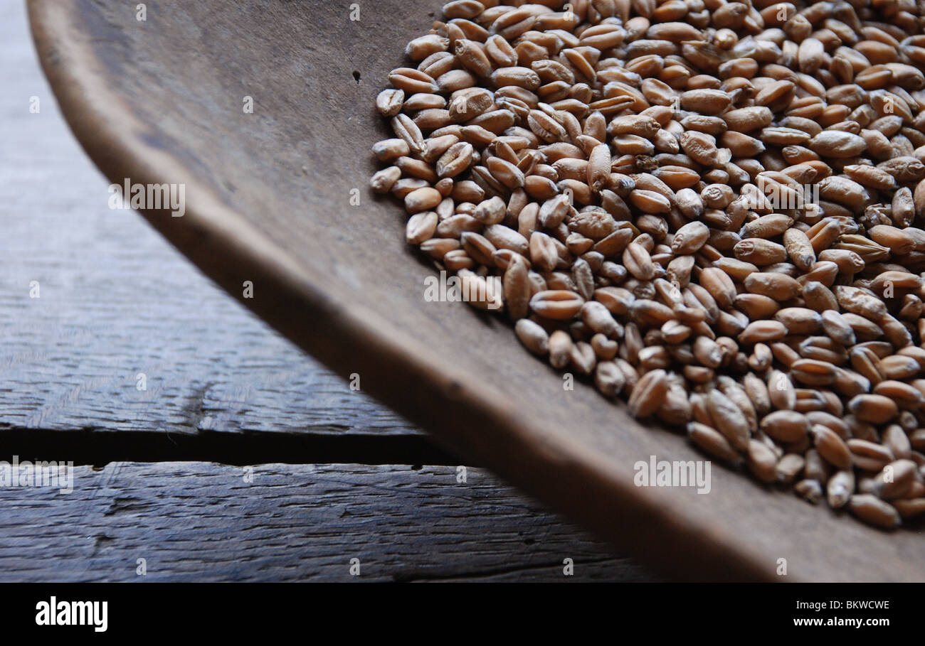 Close Up Of Grain High Resolution Stock Photography and Images - Alamy