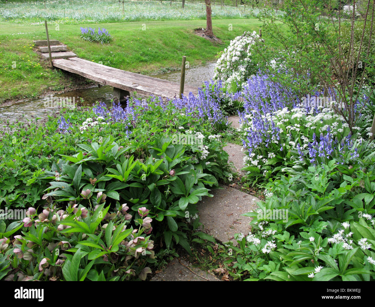 Streamside path and flowerbed Stock Photo - Alamy