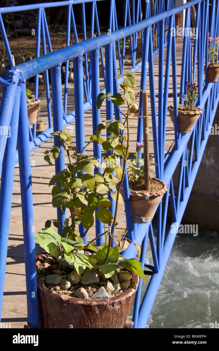Blue foot bridge crossing the Ourika River in Setti Fatma with plant ...