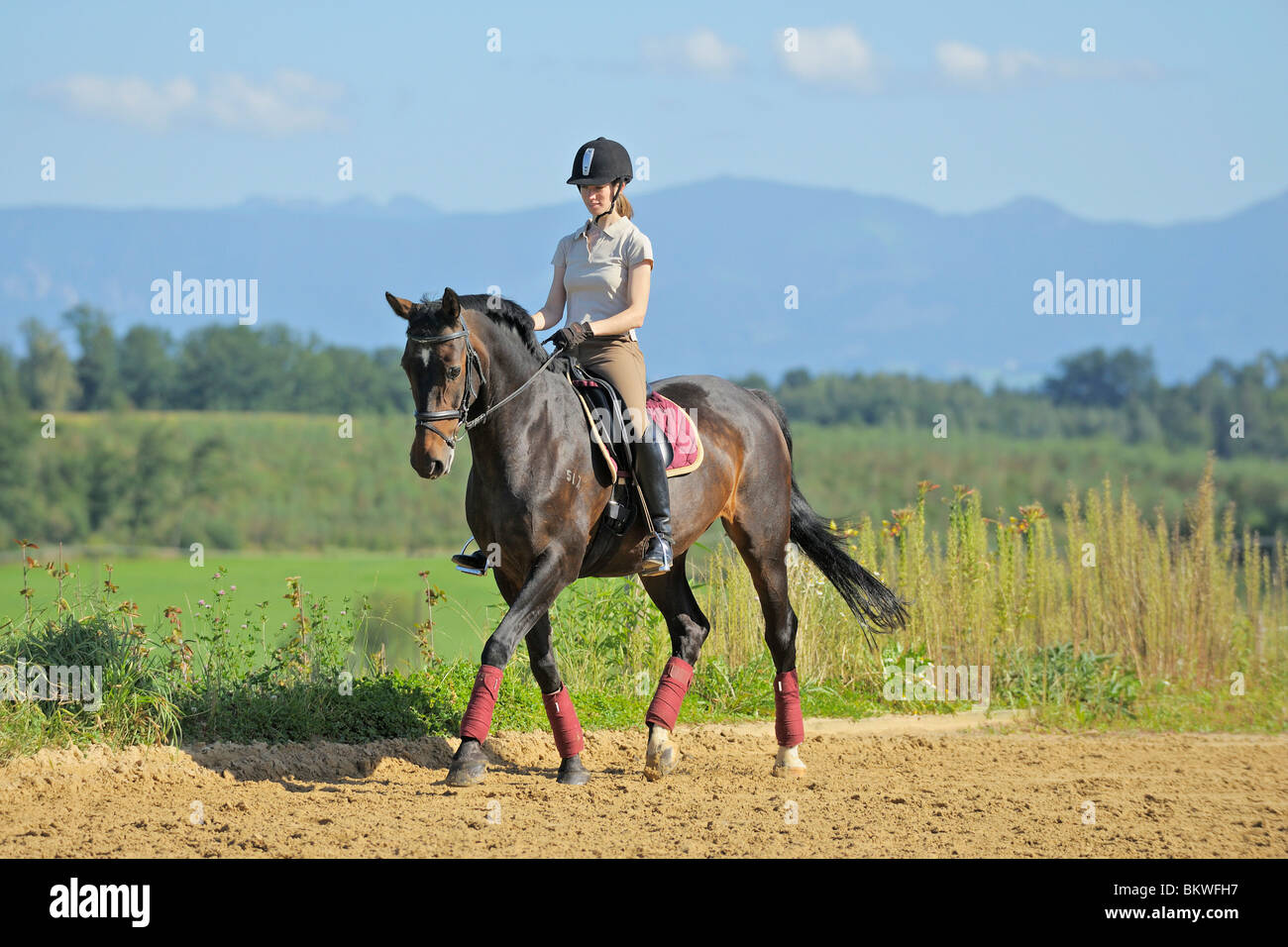 What Is Horse Riding In German at Jack Belser blog