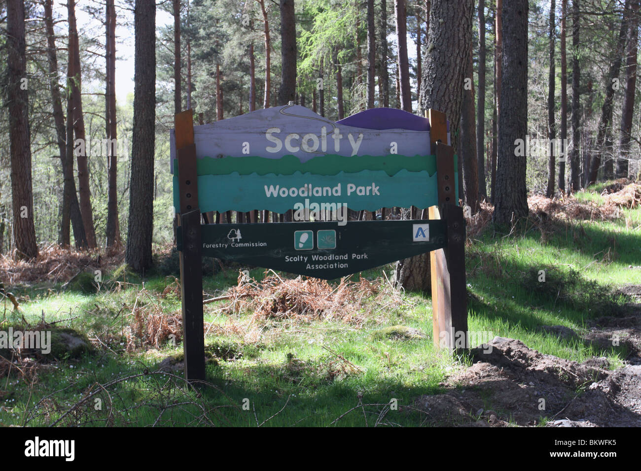 Scolty woodland hi-res stock photography and images - Alamy