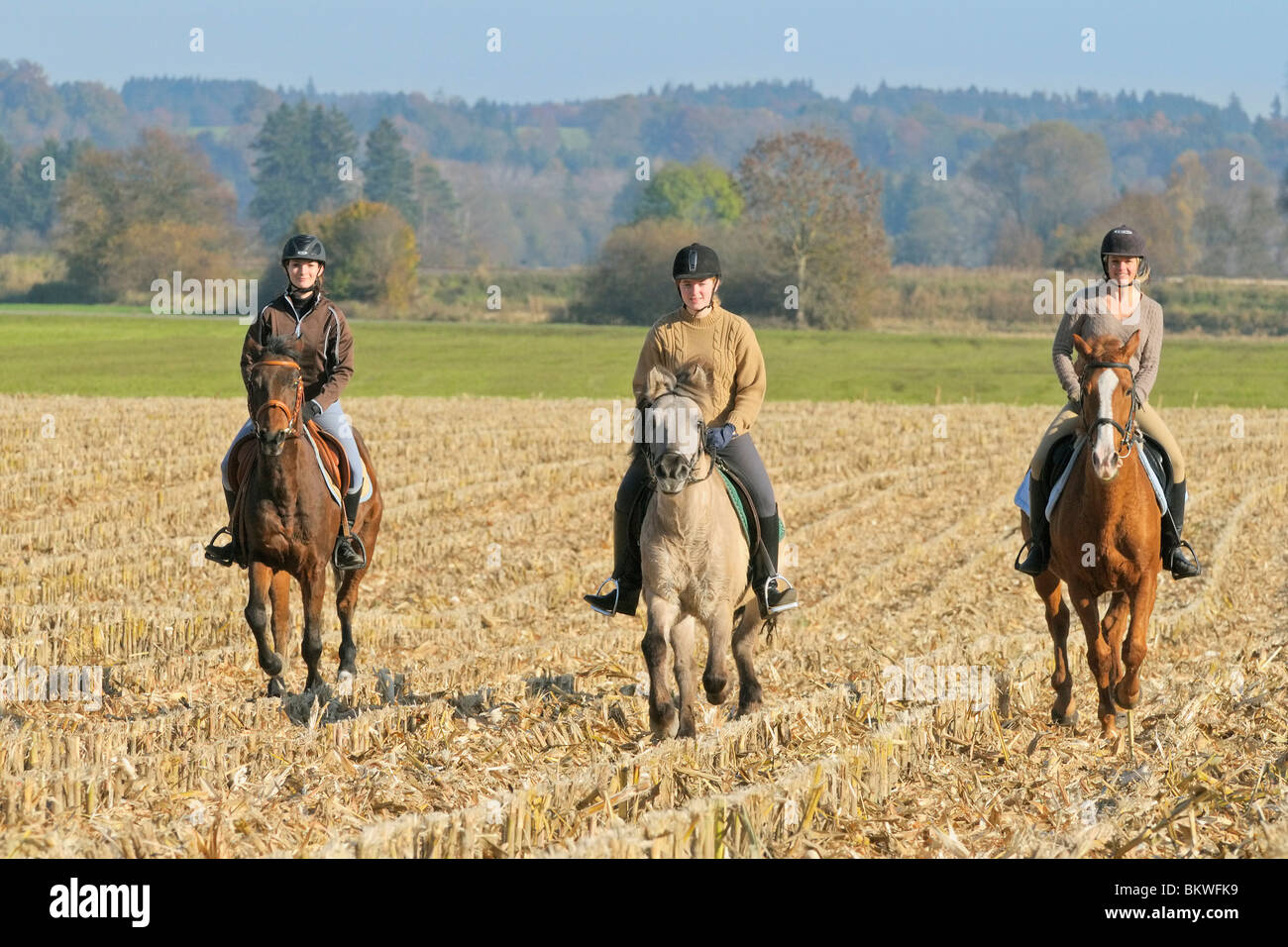 Women on horses hi-res stock photography and images - Alamy