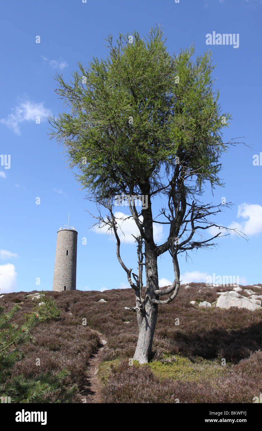 tree and Scolty's Tower on Scolty Hill, near Banchory, Aberdeenshire ...