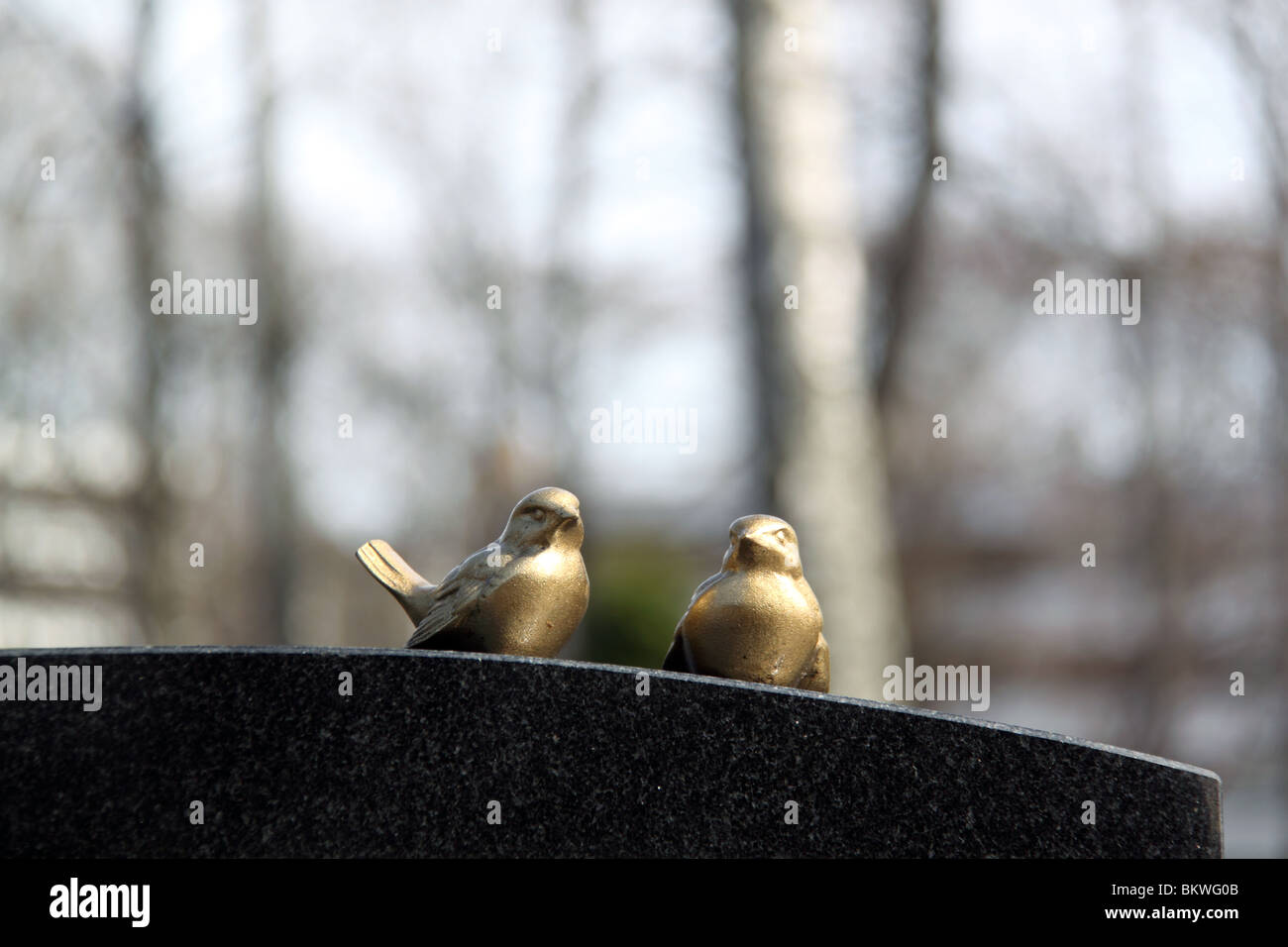 Gold sparrow hi-res stock photography and images - Alamy