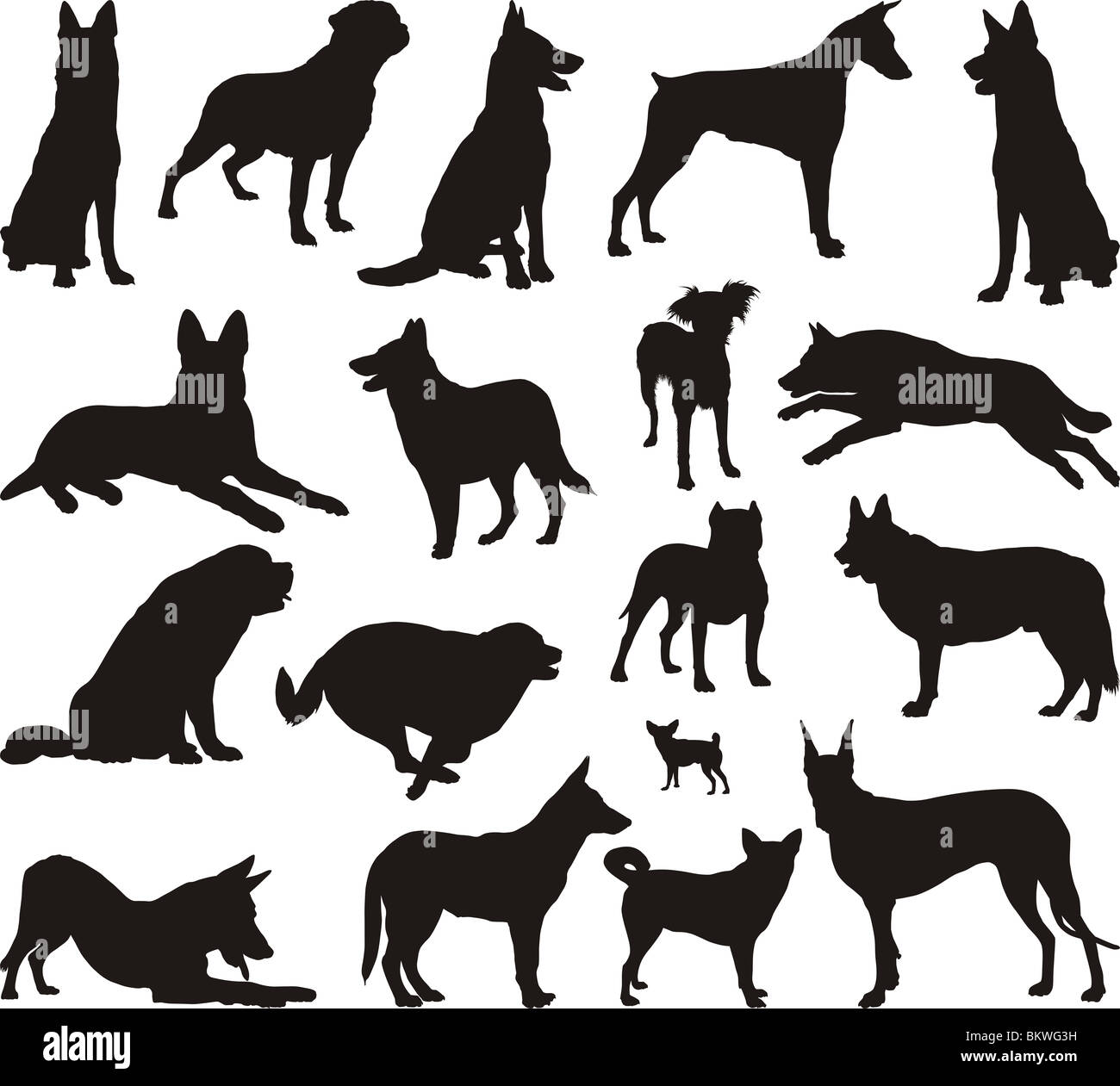 Dog silhouette drawing hi-res stock photography and images - Alamy