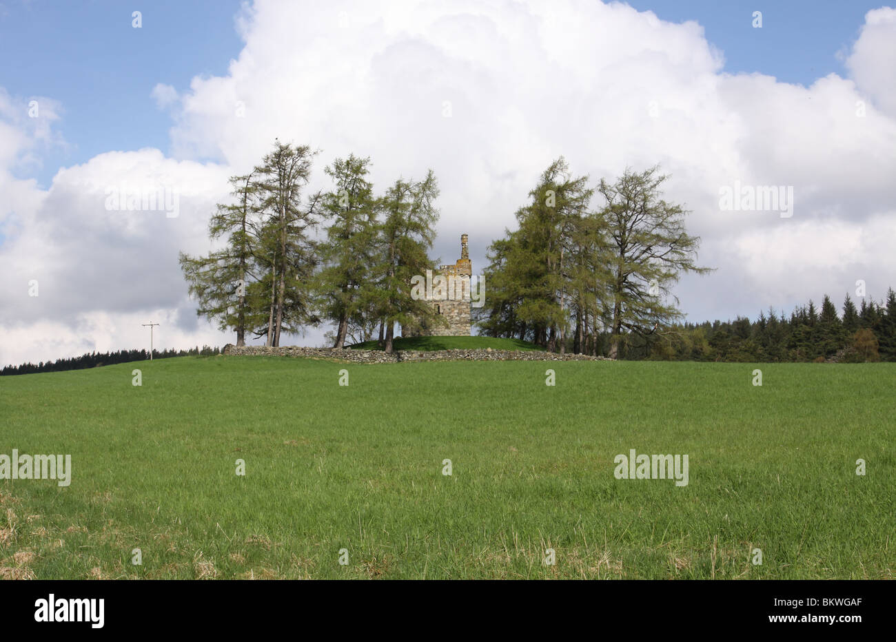 ruins of Knock Castle with trees near Ballater Aberdeenshire Scotland ...