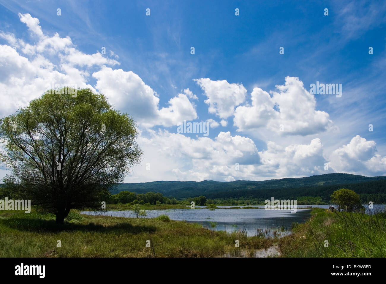 Iskar river, deserted place on the dam, Bulgaria, Eastern Europe Stock ...
