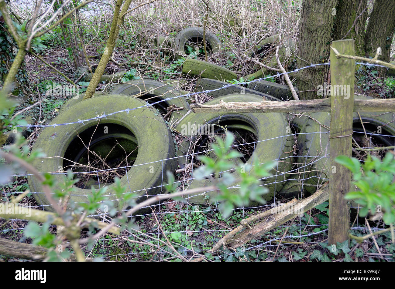 Dumped tyres waste disposal hi-res stock photography and images - Alamy