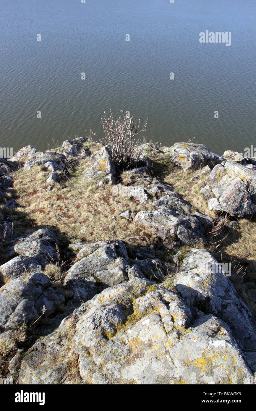 Cliff, bush and sea Stock Photo - Alamy