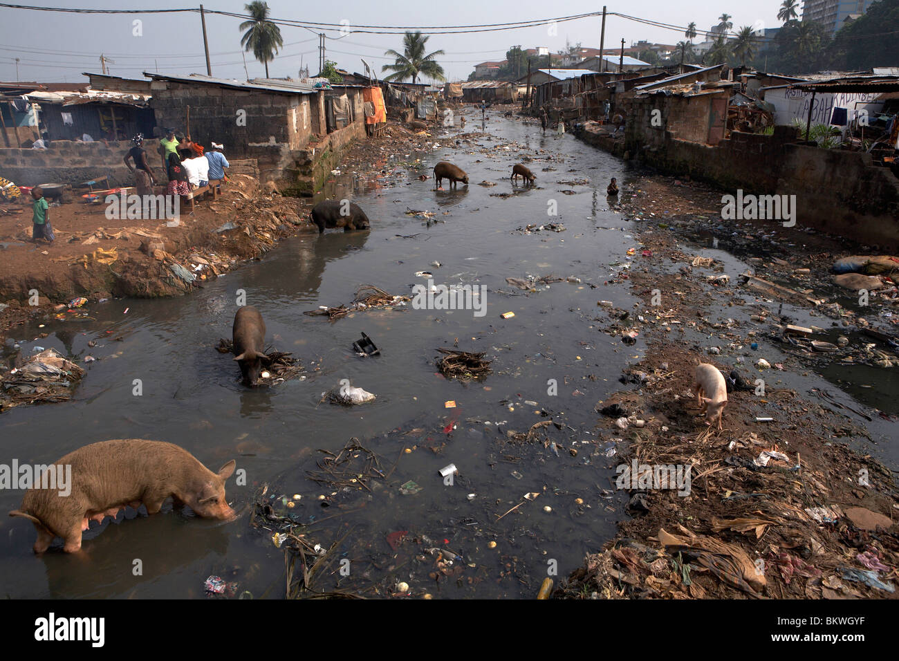 Kroo Bay slum, Freetown, Sierra Leone, West Africa Stock Photo - Alamy
