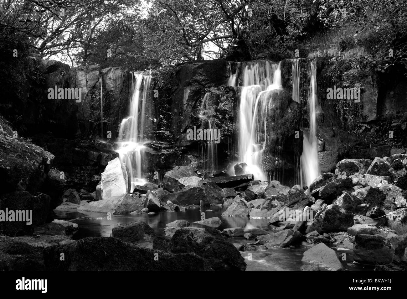 Co cavan hi-res stock photography and images - Alamy