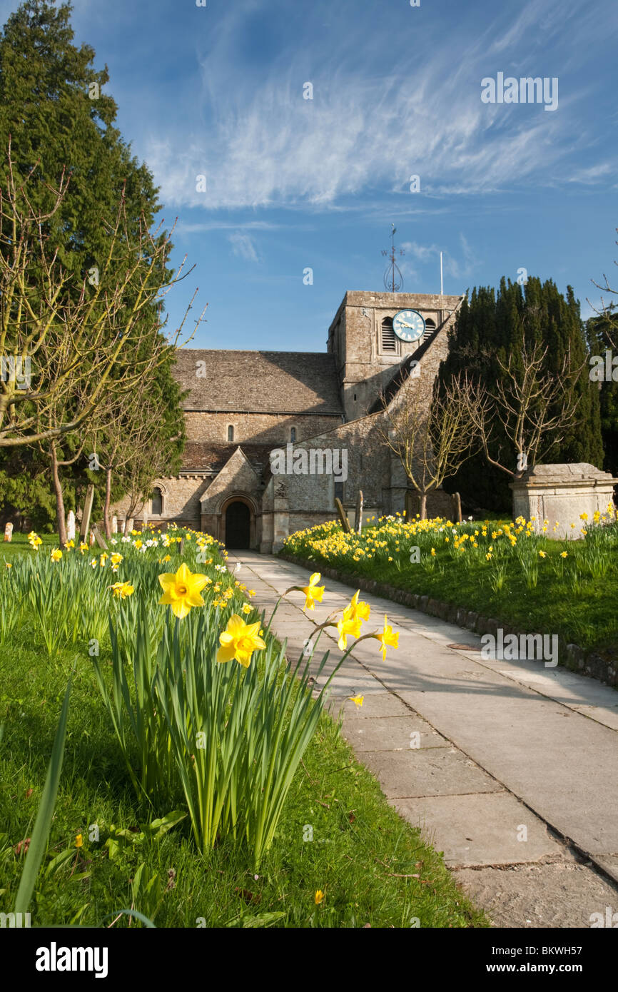 Spring daffodils at All Saints parish church in Farringdon, Oxfordshire ...