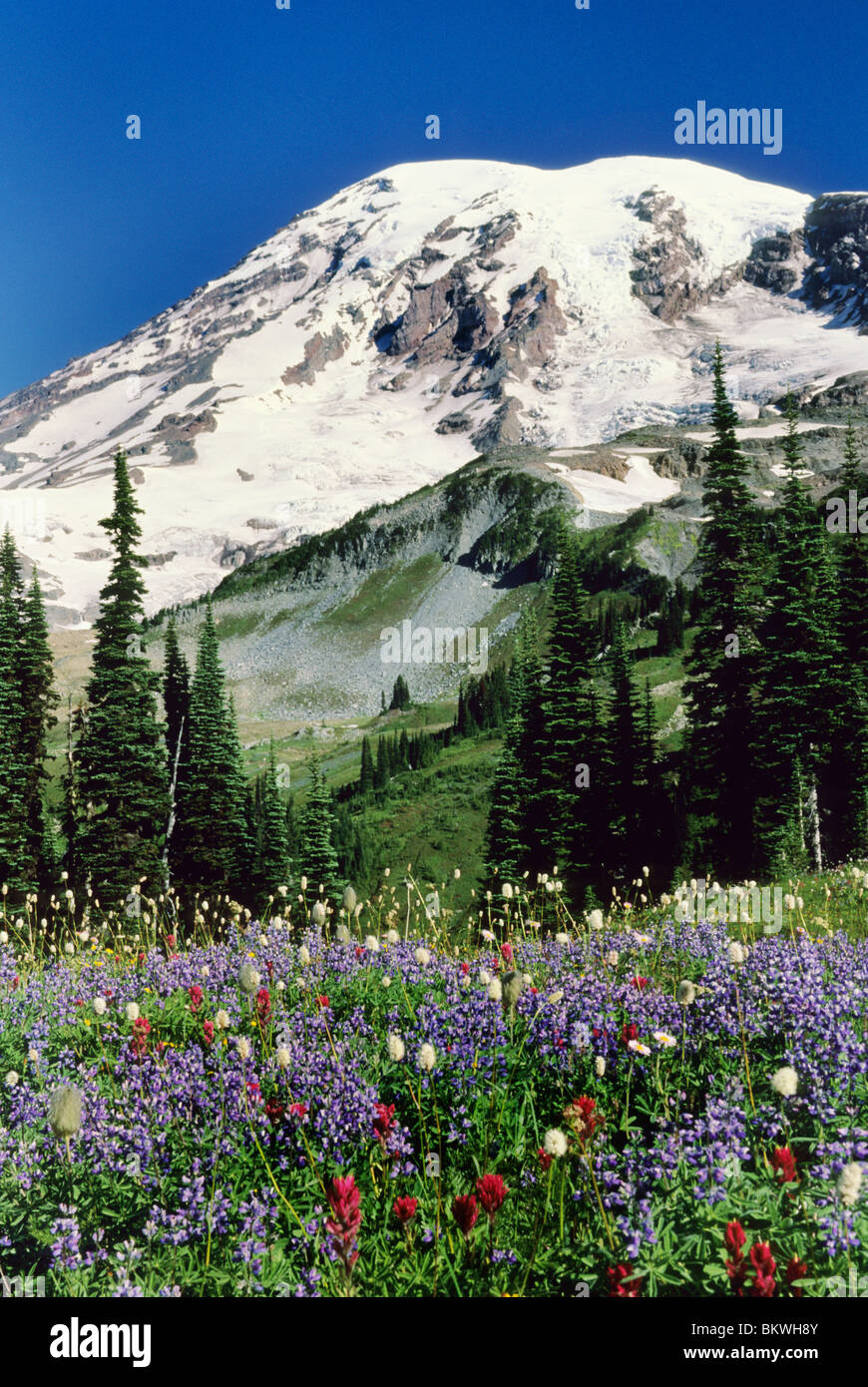 Paradise area hi-res stock photography and images - Alamy