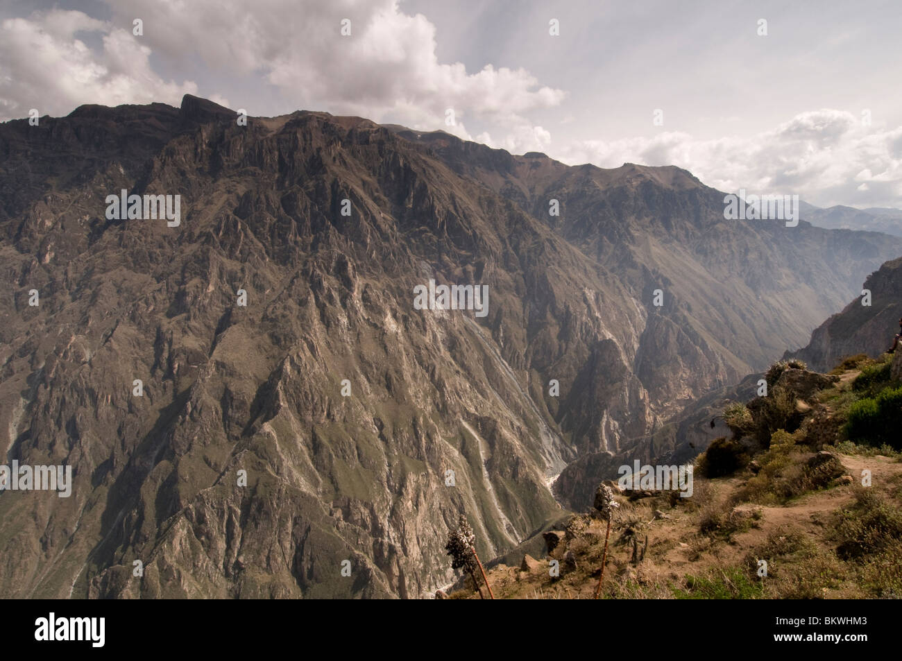 Colca canyon, Peru Stock Photo - Alamy