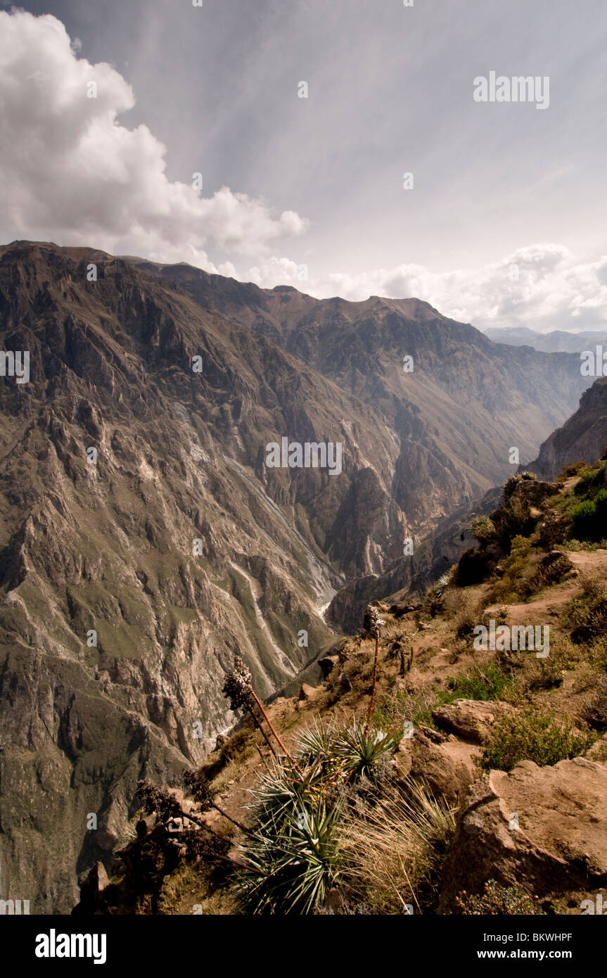 Colca canyon, Peru Stock Photo - Alamy