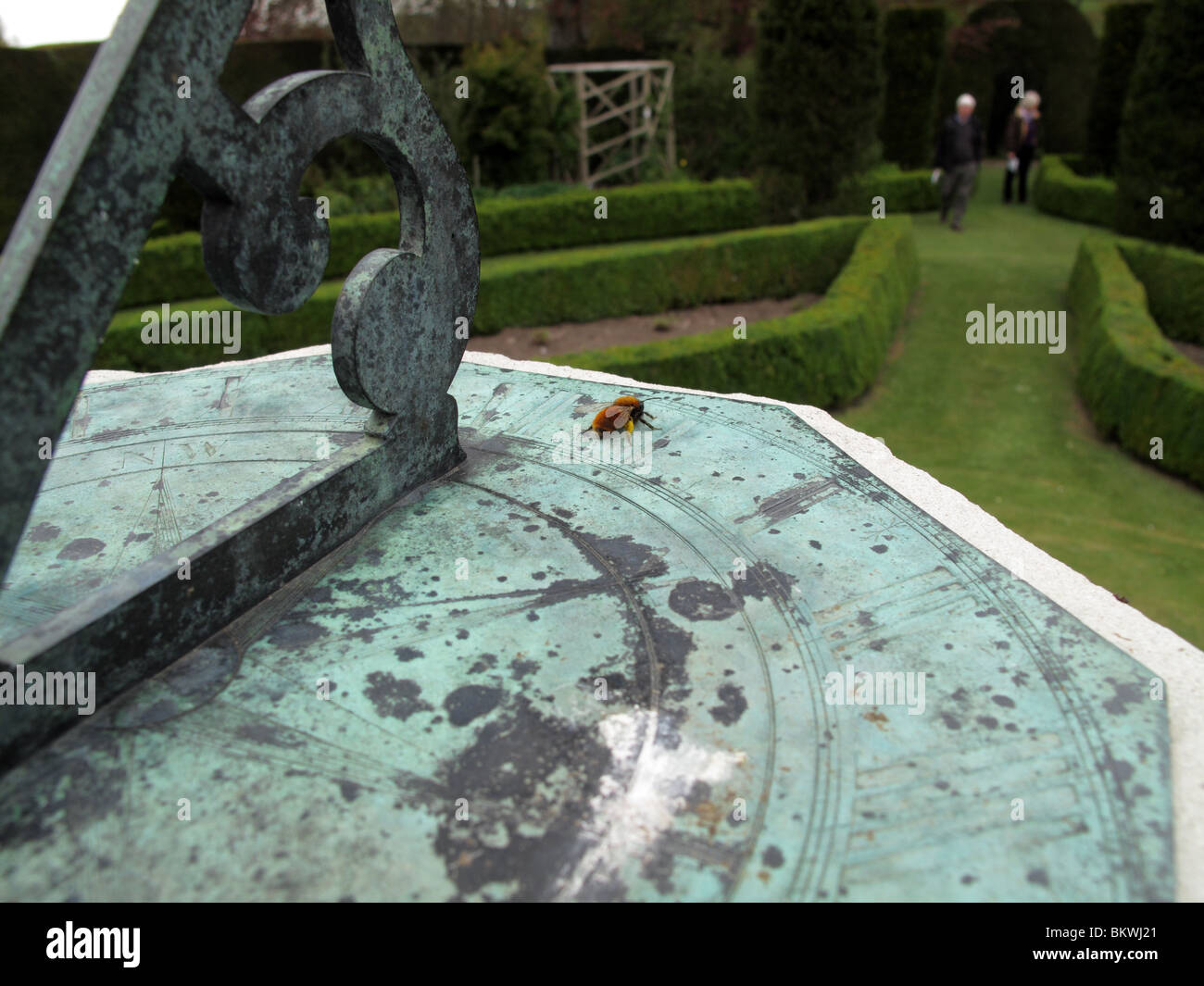 Bee on sundial Stock Photo - Alamy