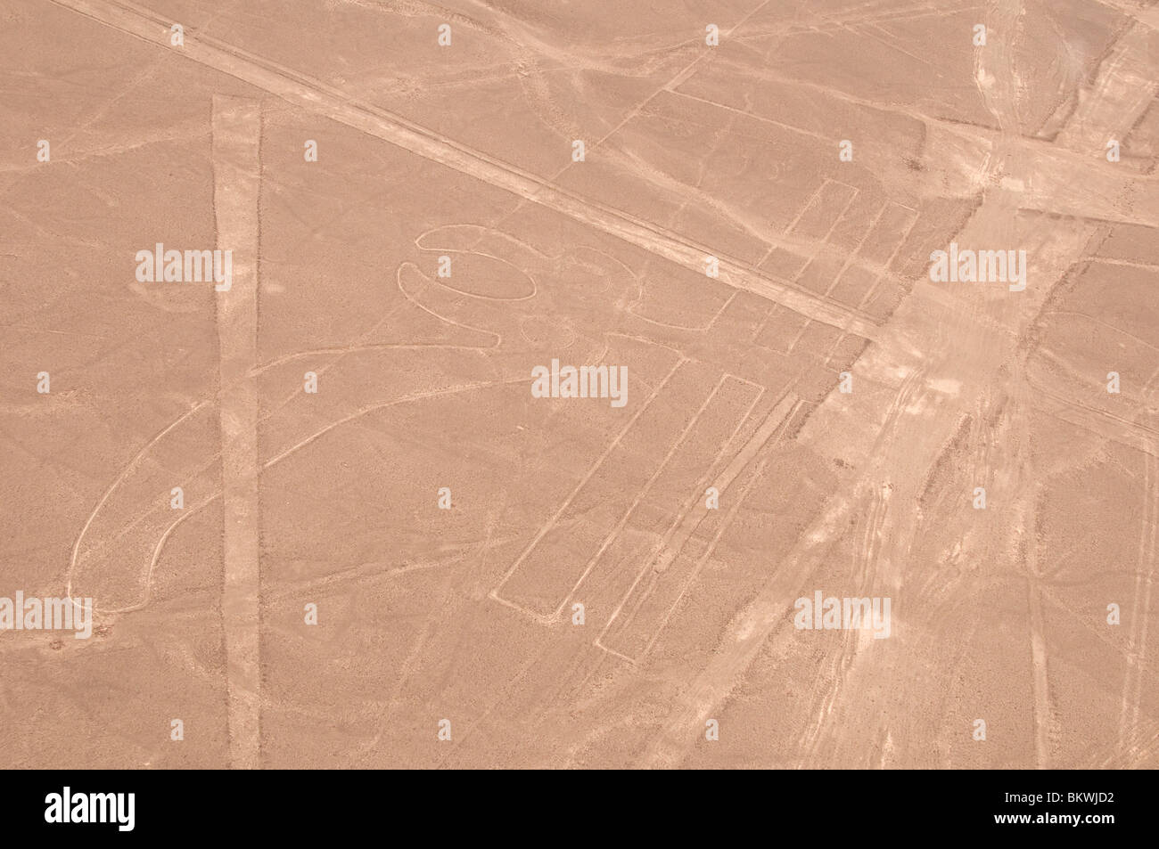Aerial photos of the Nazca lines, Peru Stock Photo - Alamy