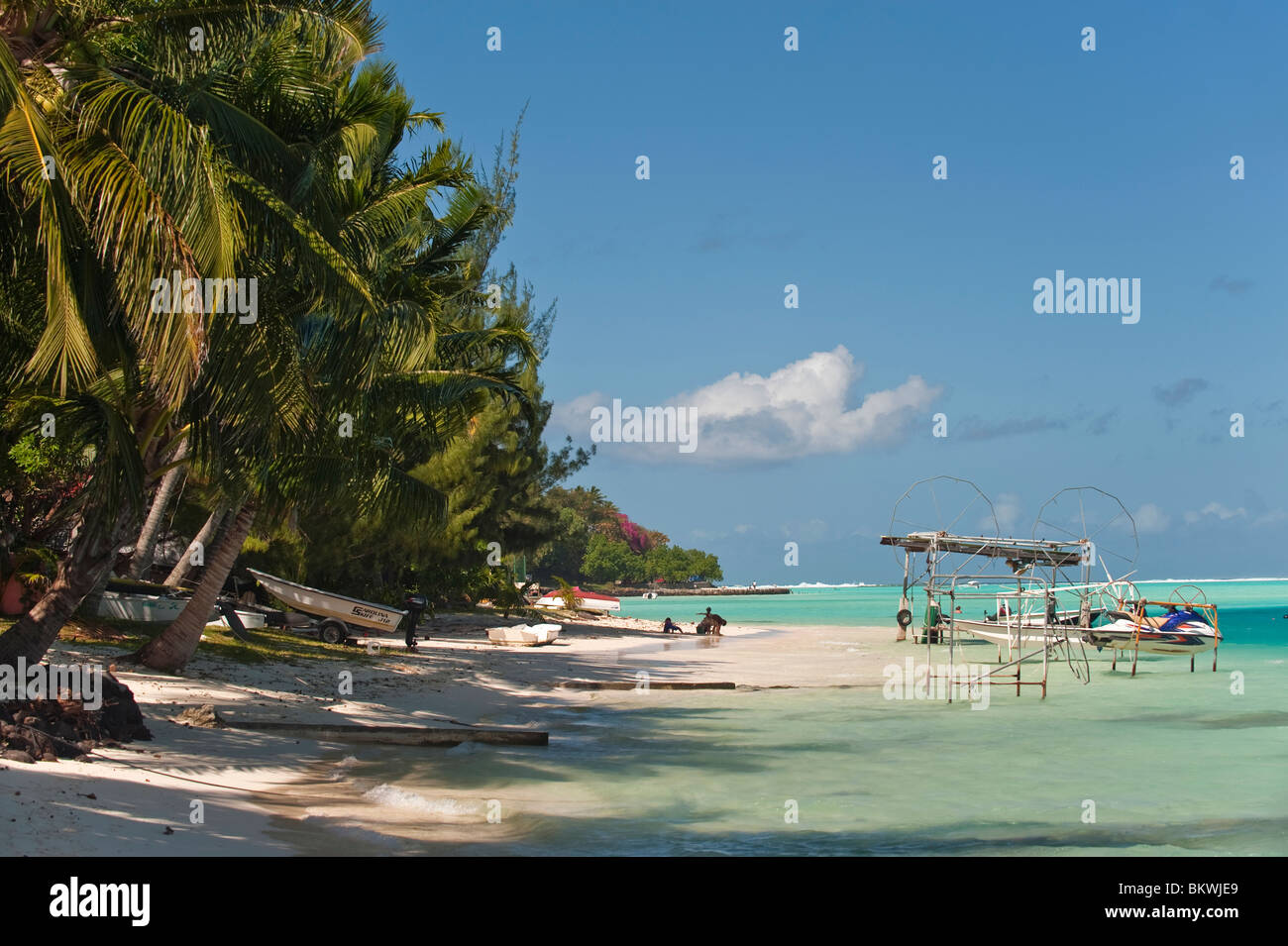 Palm Trees Shading the Perfect Beach at Matira Point in Bora Bora ...