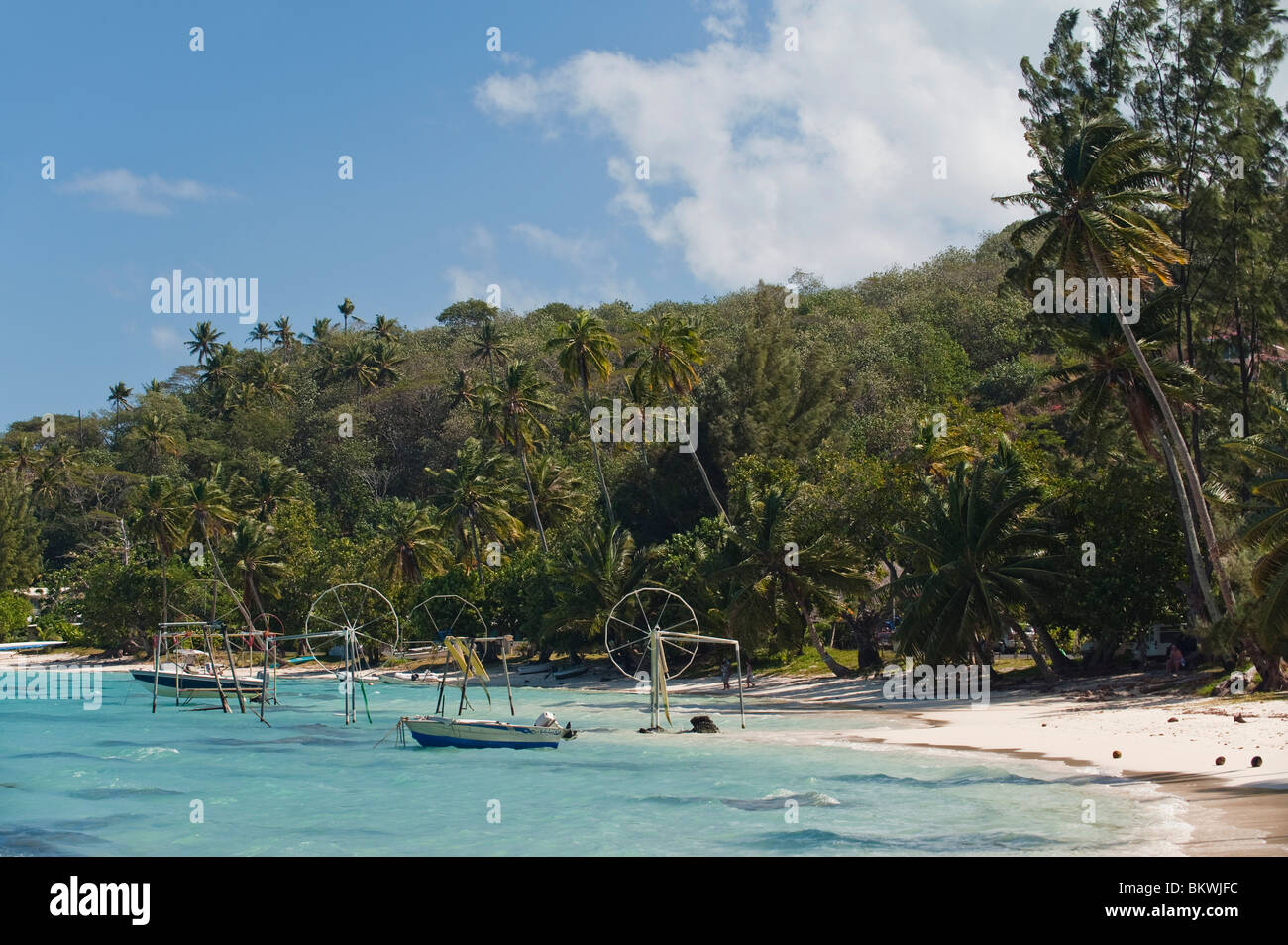 Palm Trees Shading the Perfect Beach at Matira Point in Bora Bora ...