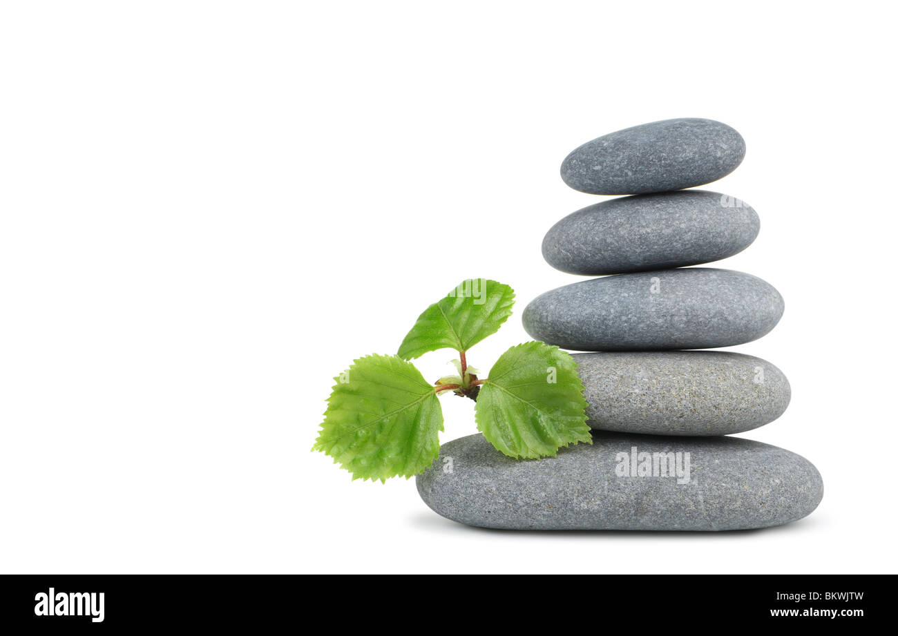 Leaf and a pebble closeup. It is isolated on a white background Stock ...