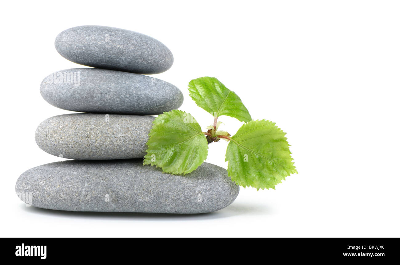 Leaf and a pebble closeup. It is isolated on a white background Stock ...