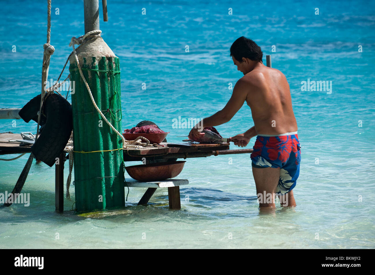 Bora bora fish hi-res stock photography and images - Alamy