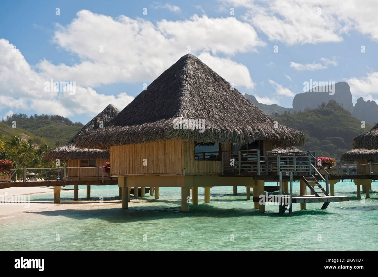 French polynesia society islands moana High Resolution Stock ...
