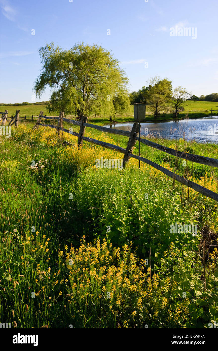 Raymond field hi-res stock photography and images - Alamy
