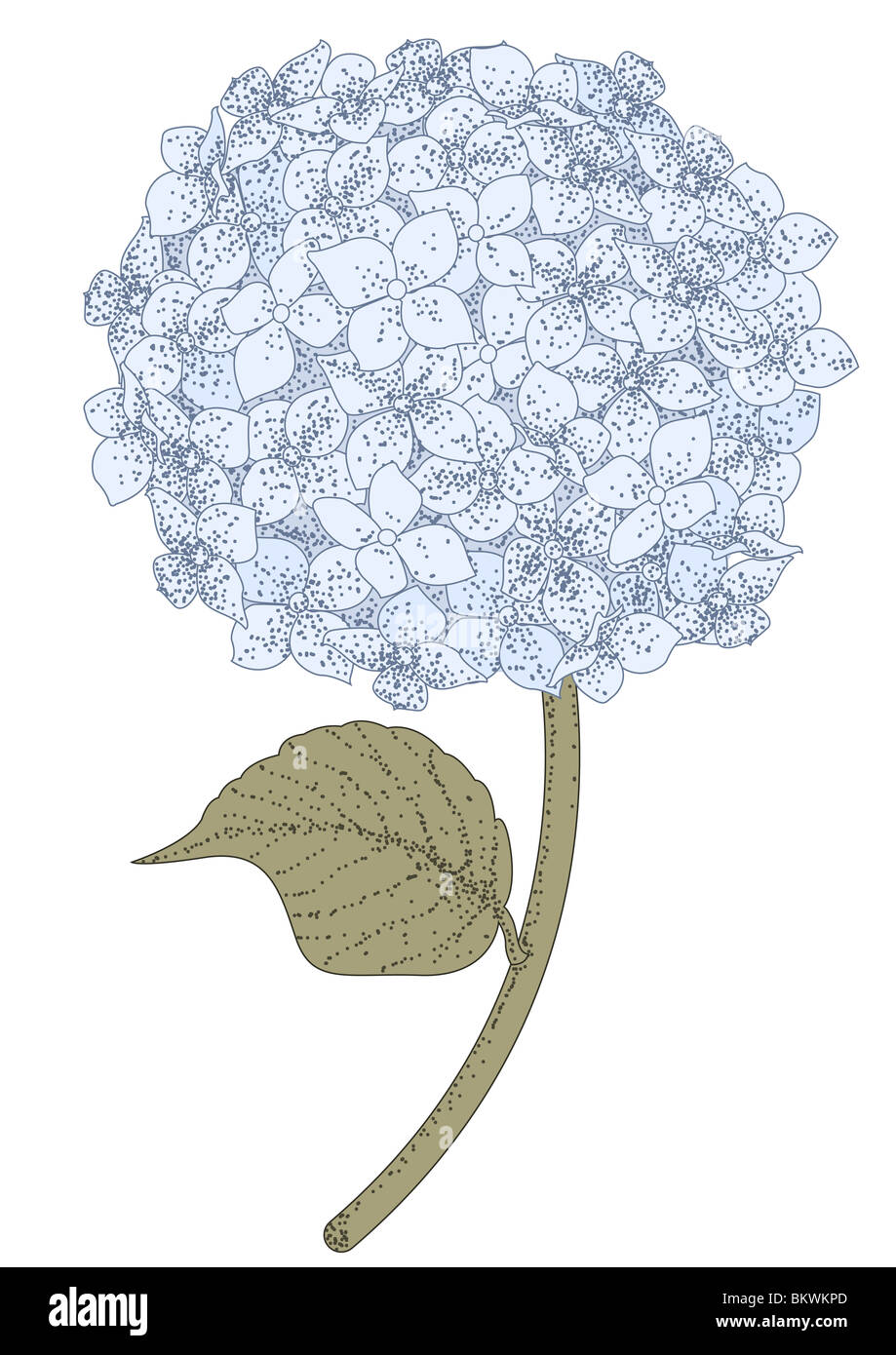 Ink blue engraving Cut Out Stock Images & Pictures - Alamy