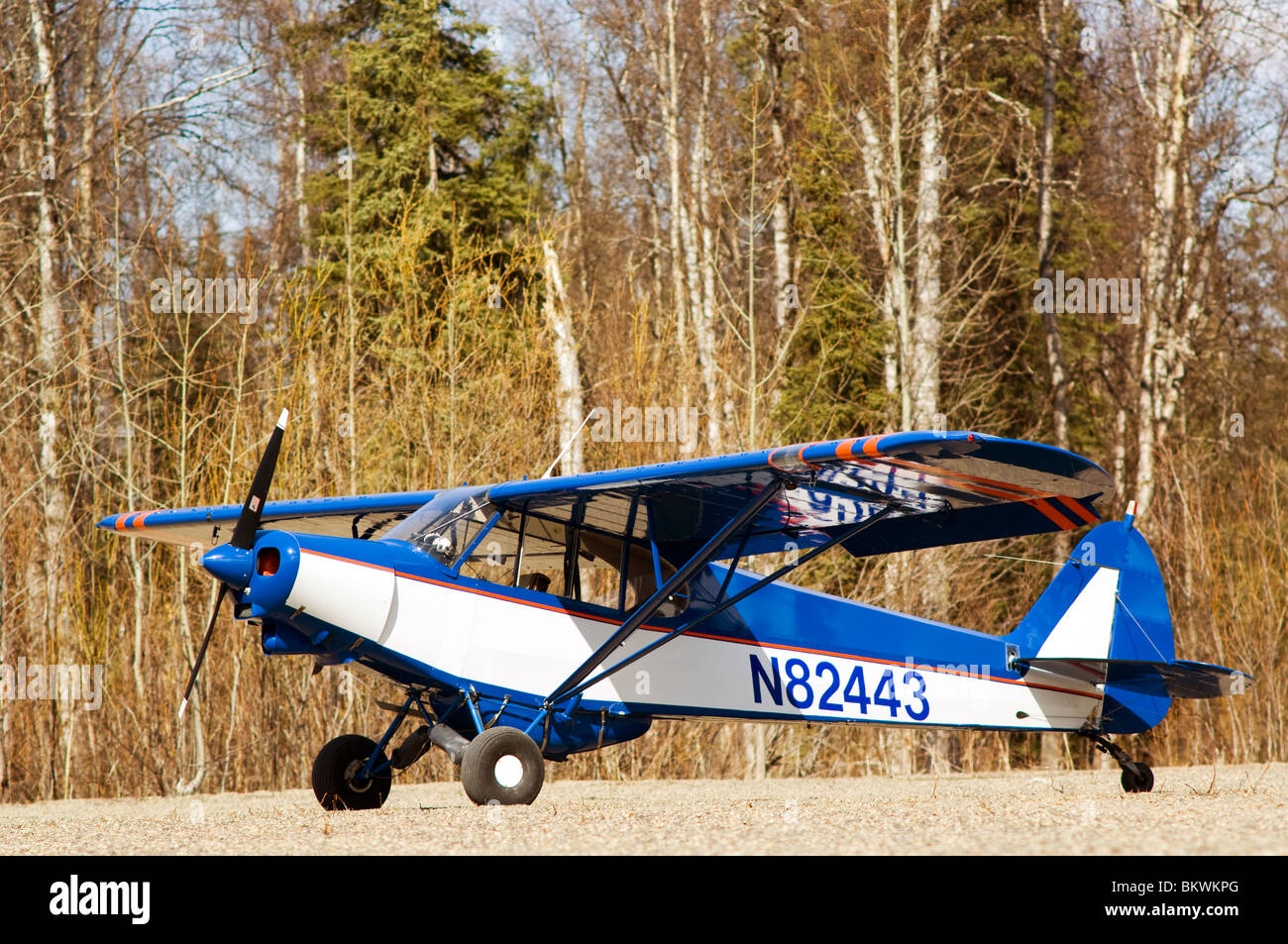 Piper super cub alaska hi-res stock photography and images - Alamy