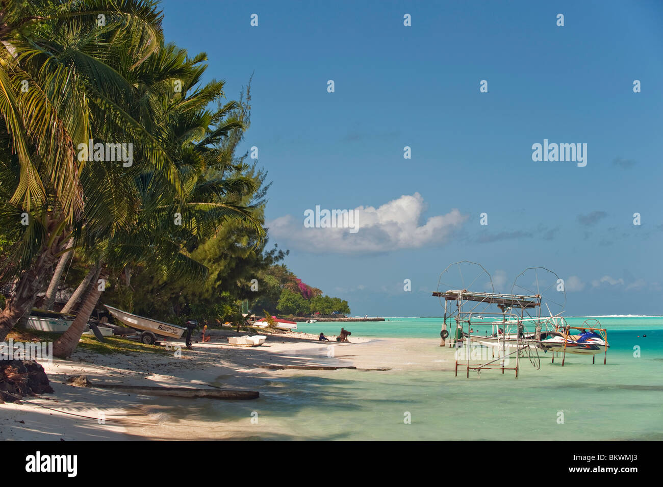 Palm Trees Shading the Perfect Beach at Matira Point in Bora Bora ...