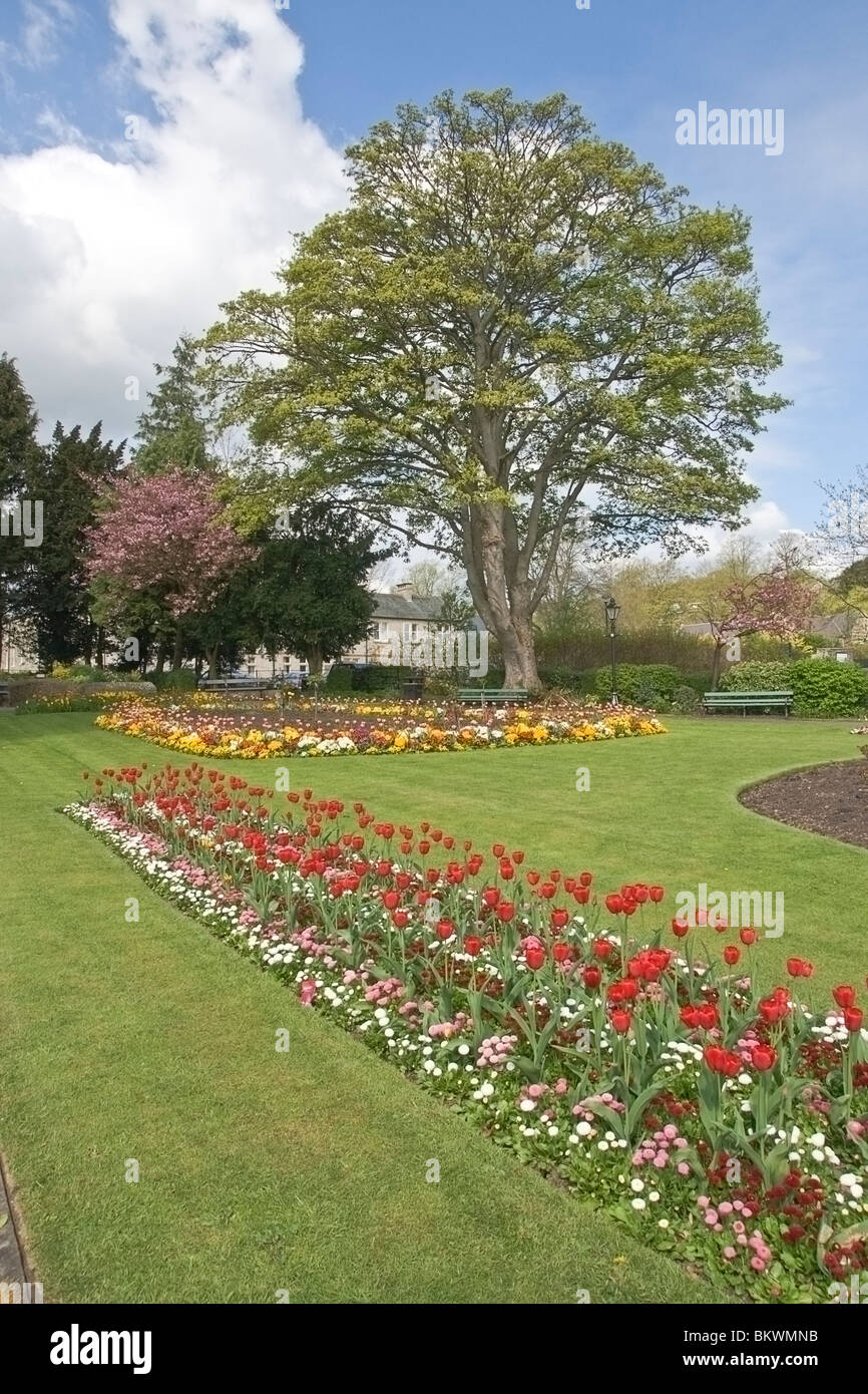 Spring garden yorkshire hi-res stock photography and images - Alamy