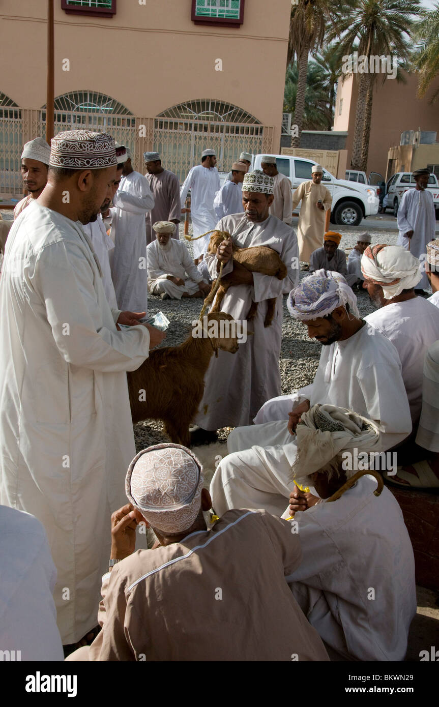 Goat interactions hi-res stock photography and images - Alamy