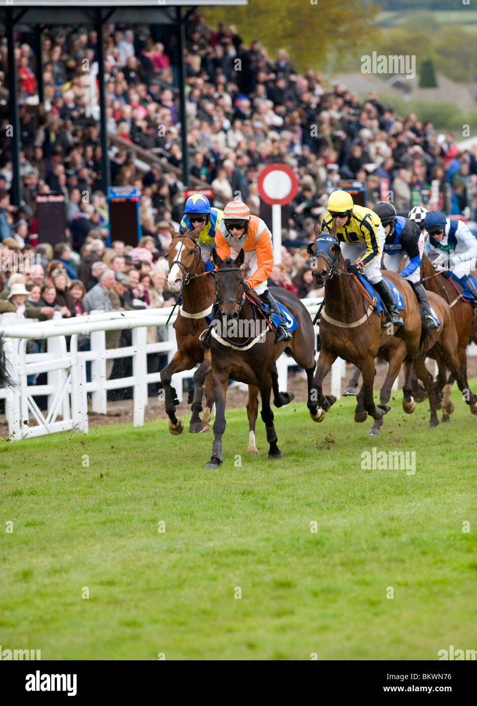 Horse racing winning post crowds hi-res stock photography and images ...