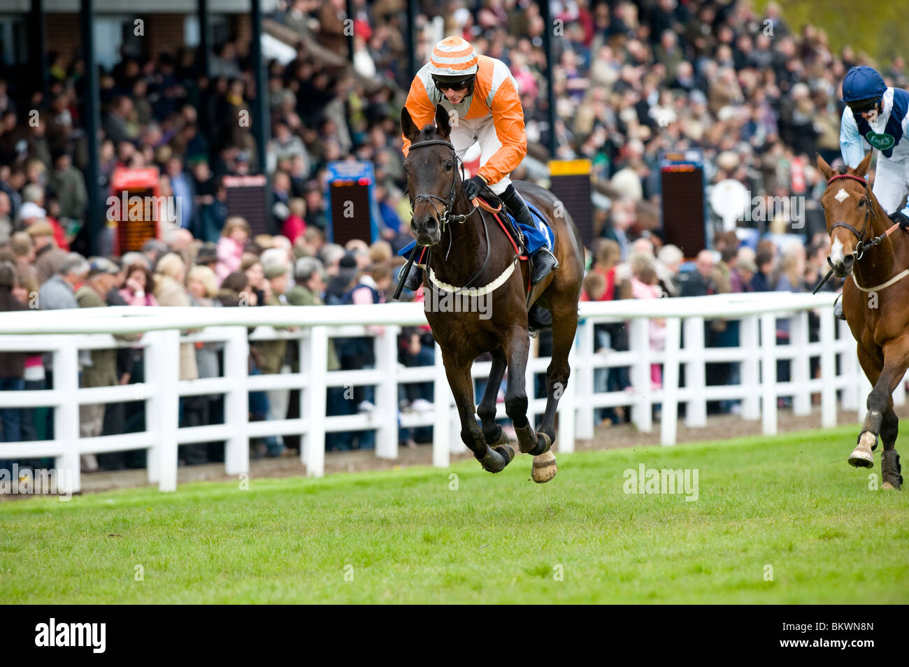 Horse racing action at Plumpton Racecourse, East Sussex, UK. Picture ...