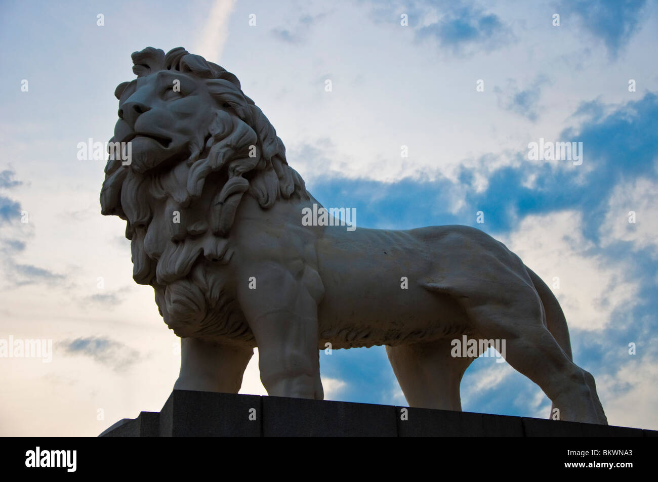 Strong lion hi-res stock photography and images - Alamy