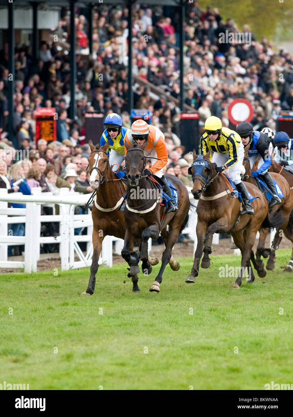 Horse racing at the races raceday plumpton racecourse hi-res stock ...