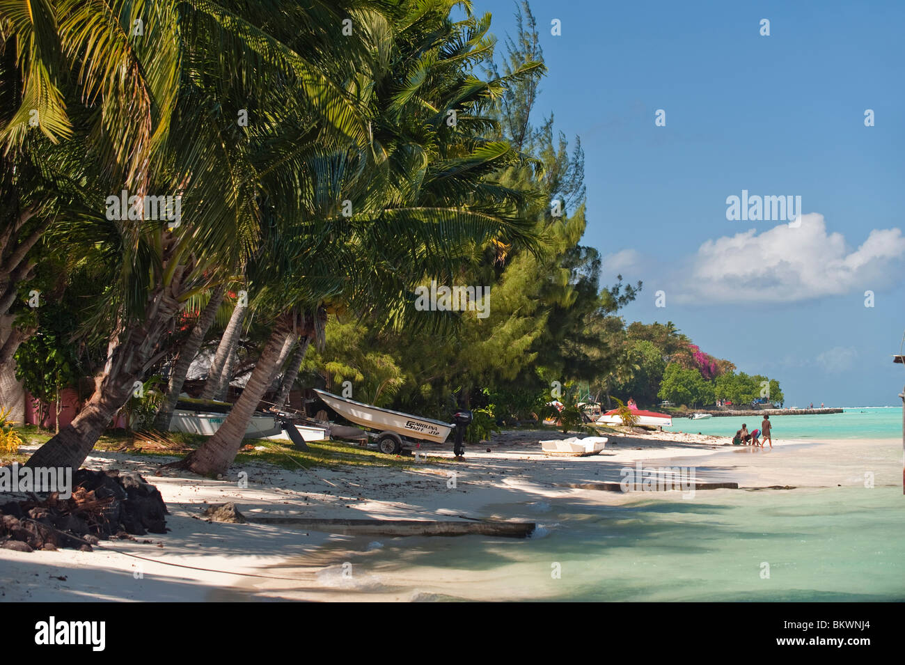 Palm Trees Shading the Perfect Beach at Matira Point in Bora Bora ...