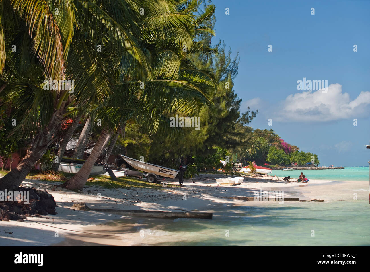 Palm Trees Shading the Perfect Beach at Matira Point in Bora Bora ...