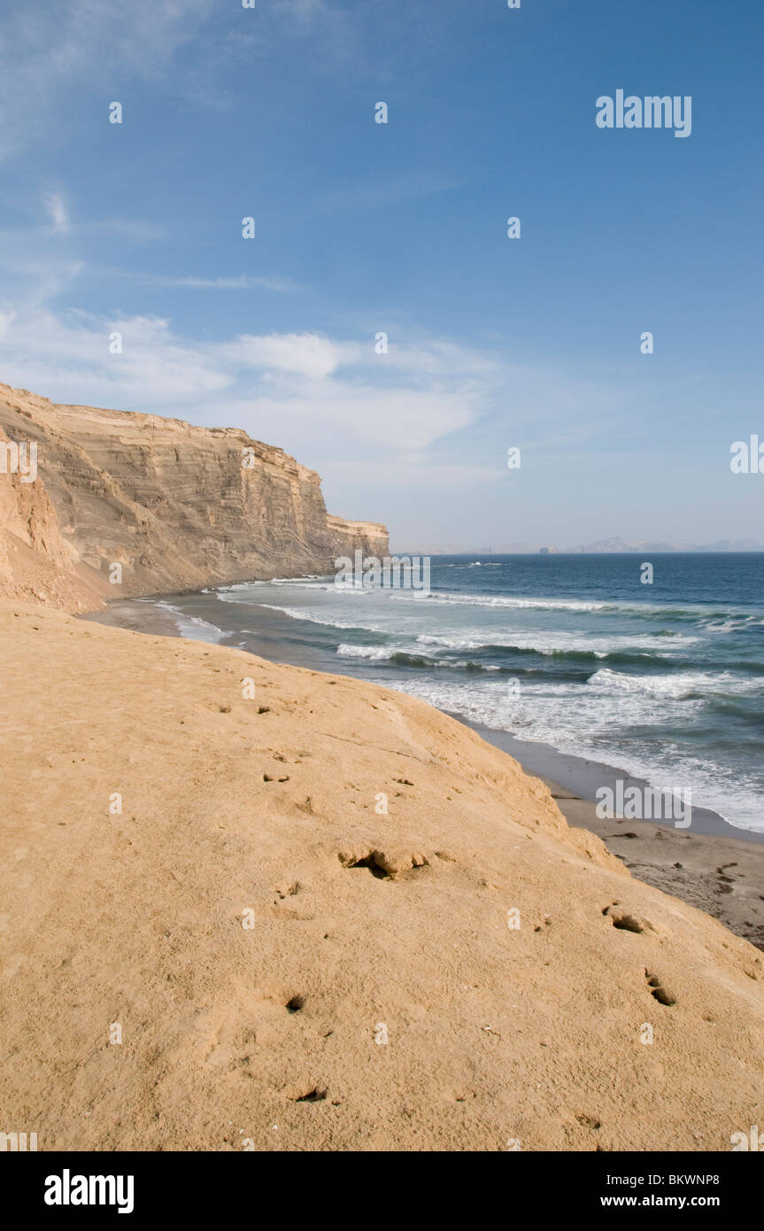 Paracas national reserve, Peru Stock Photo - Alamy