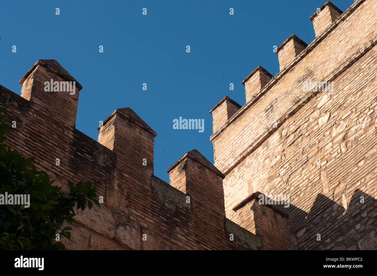 Alcazar wall hi-res stock photography and images - Alamy