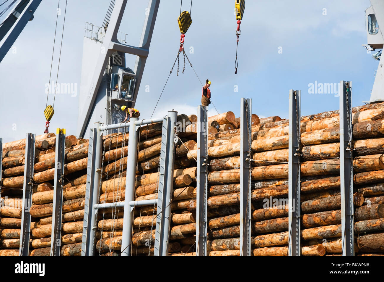 Logs cargo hi-res stock photography and images - Alamy
