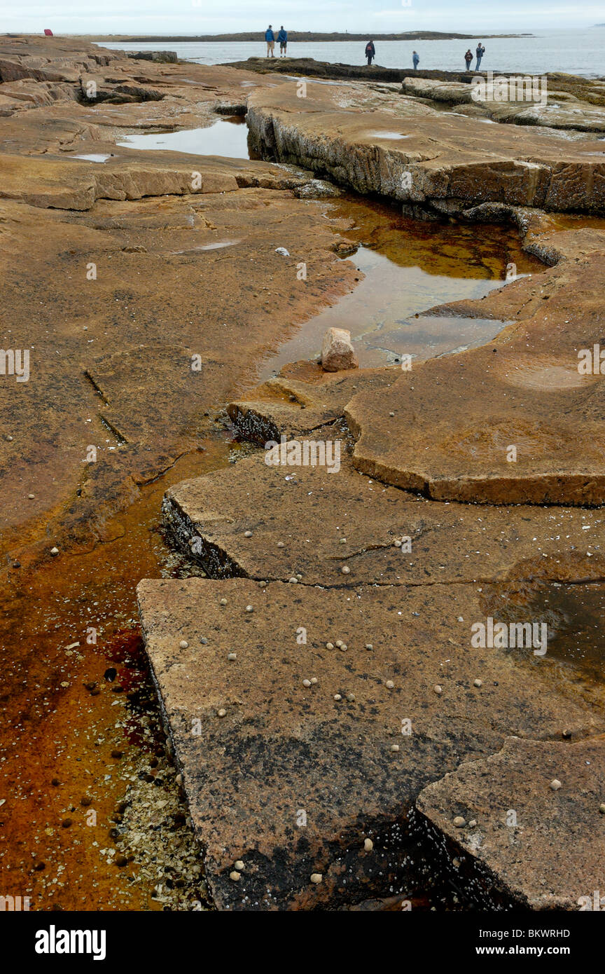 Wonderland trail acadia national park hi-res stock photography and ...