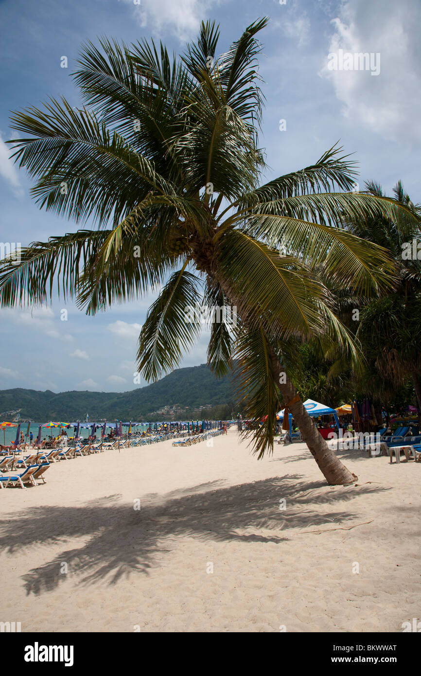 Beach scene shadow of Palm Tree Stock Photo - Alamy